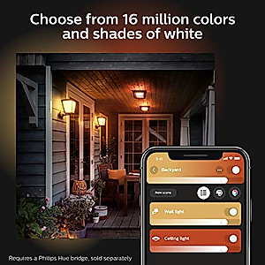 Philips Hue Econic Outdoor White & Color Wall & Ceiling Light Fixture 2-Pack (Hue Hub Required, Compatible with Alexa, Apple Homekit & Google Assistant)