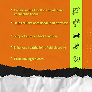 PointPet Advanced Glucosamine Hip and Joint Supplement for Dogs, 90 Count - Soft Chews - Dog Joint Health Chews - Chews with Chondroitin Turmeric, Omega 3