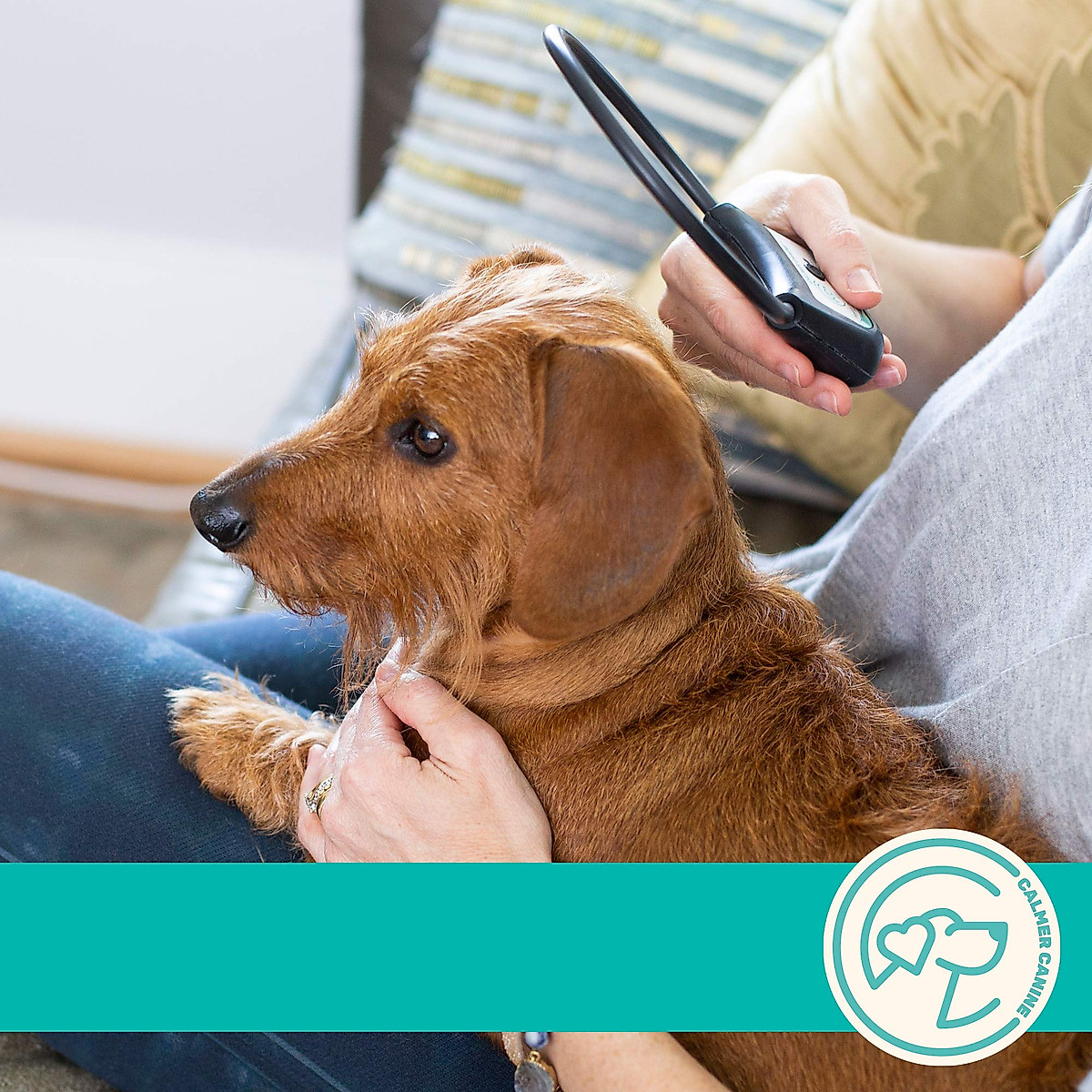 Calmer Canine Device Only - 5 in. Anxiety Treatment Device for Small and Medium Sized Dogs