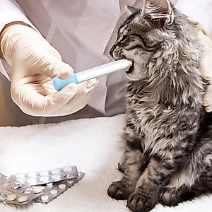 20 Pcs 5ml Pipettes Dropper,Pipette,Medicine Eye Dropper Eye Dropper with Bulb Tip for Candy Mold Pipettes for Feeding, Baking, Crafts Making - 10 Bright Color