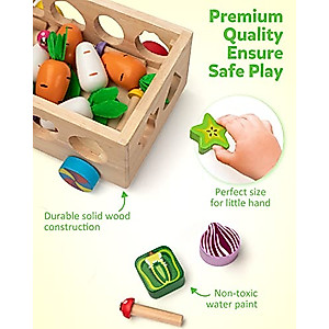 Coogam Montessori Fine Motor Toys for Baby Toddler, Wooden Shape Sorter Carrot Harvest Game, Preschool Learning Educational Gift Toy for 3 4 5 Year Old