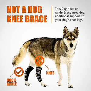 NeoAlly Pair Dog Rear Leg Brace Canine Rear Hock Joint Support with Safety Reflective Straps for Joint Injury and Sprain Protection, Wound Healing and Loss of Stability from Arthritis (M Pair)