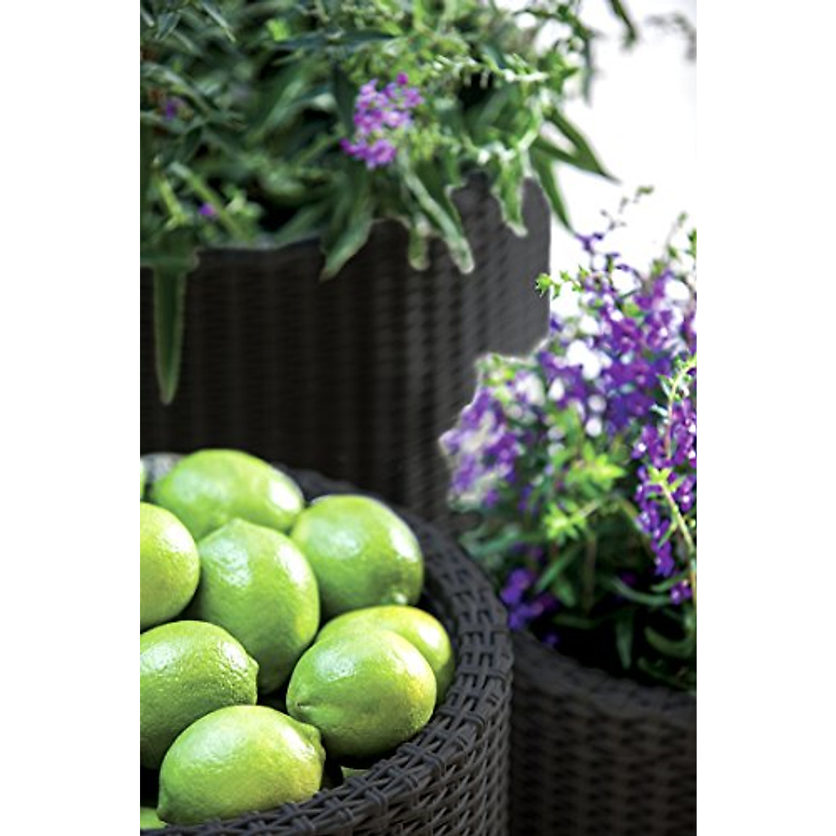 Keter Resin Wicker Cylinder Flower Pot Set of 3 Small, Medium, and Large Planters with Drainage Plugs for Outdoor or Indoor Plants, Charcoal Grey