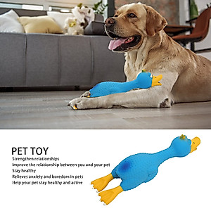 Naroote Latex Duck Dog Toys, Squeaky Duck Dog Toys Cute Funny for Indoor for Puppies