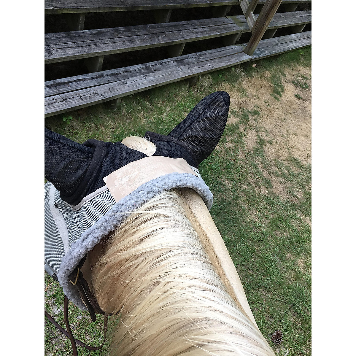 Trednot 12 Horsefly Patches/Sticky Horse Fly Traps