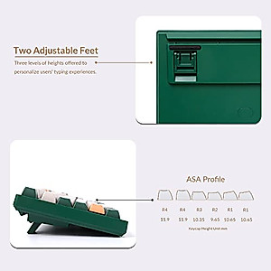 Akko 3098S 1800 Compact Hot Swappable Mechanical Keyboard, 98-Key Wired Gaming Keyboard with PBT Double-Shot Keycaps and Tactile Switches for Mac & Win (Jelly Purple)