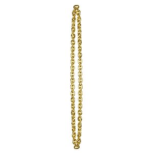 Chain Beads (gold) Party Accessory (1 count) (1/Card)