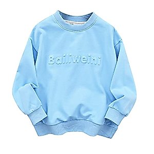 Infant Toddler Baby Boy Girl Sweatshirt Pullover Hooded Pocket Warm Casual Cold Weather Sweatshirt Newborn Sweatshirts Blue