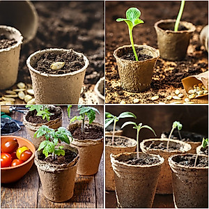 JERIA 50-Pack 3.15 Inch Peat Pots for Seedling with 50 Pcs Plant Labels,Outdoor Garden Germination Nursery Pots,Biodegradable Seed Starter Pots Kits