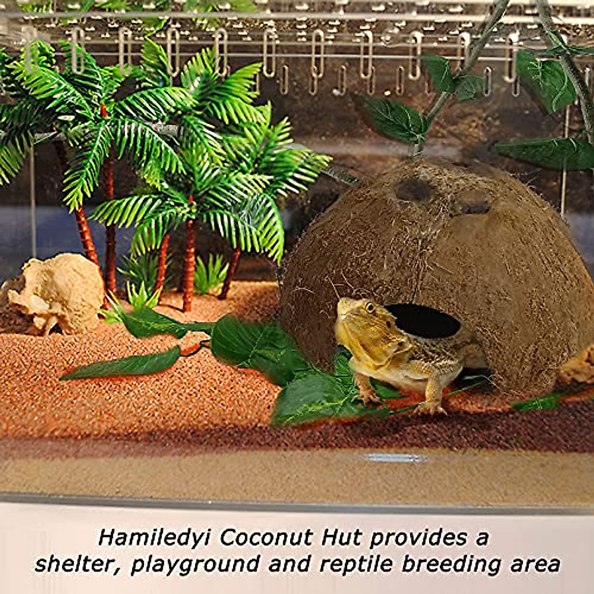 Hamiledyi Reptile Hideouts Natural Coconut Shells Hut Small Animal Hide Cave Hermit Crab Climbing Toys Lizard Habitat Decor Plant Leaves Decoration for Gecko Spider Snake Chameleon (4Pcs)
