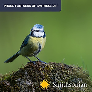 Omano Smithsonian Spotting Scopes for Target Shooting – 20-60x60 Spotting Scopes for Bird Watching – Best Spotting Scope with Tripod and Phone Adapter for Adults – includes Smithsonian Bird Guide