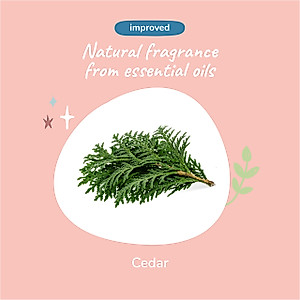 Shampoo + Conditioner Kit 1