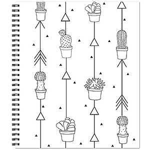 Color & Frame - Painted Deserts (Adult Coloring Book)