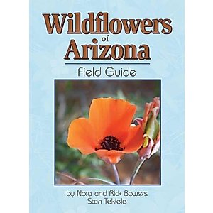 Wildflowers of Arizona Field Guide (Wildflower Identification Guides)