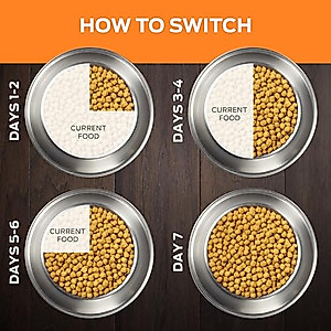 Purina Pro Plan Veterinary Diets OM Overweight Management Canine Formula Dry Dog Food - 18 lb. Bag