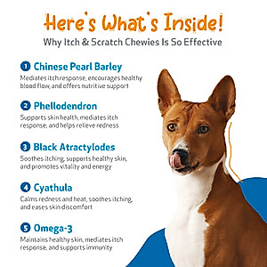 Pet Wellbeing Itch & Scratch Chewies or Dogs - Vet-Formulated - Itchy Skin & Paws, Hot Spots, Redness - 90 Soft Chews
