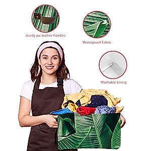 Storage Basket Summer Green Banana Leaves Storage Bin with Handles, Tropical Nature Plant Collapsible Organizer Storage Cubes Bins for Closet, Laundry Clothes, Bathroom, Nursery Toys