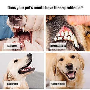 Dog Toothbrush, 3 Sided Toothbrush, 4PCS Triple Head Dog Toothbrushes for Dogs Dental Care with Soft Bristles,Cleaning Brushes with Long Handle for Dog Cat Oral Dental Health