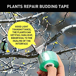 4 Rolls Garden Grafting Tape for Fruit Trees, Plants Repair Tapes, PE Grafting Film, Tree Grafting Supplies, Stretchable Clear Floristry Grafting Film for Garden Tree Seedling (2 Green 2 White)