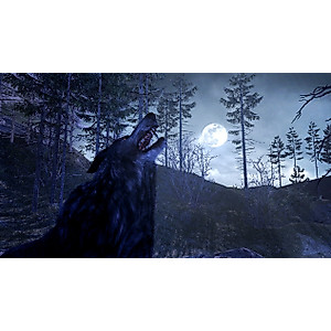 Cabela's Dangerous Hunts 2011 Special Edition