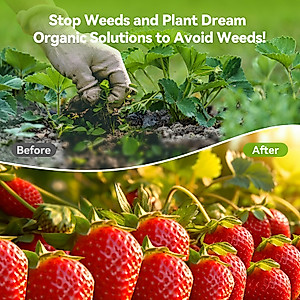 iropro 4ftx300ft Weed Barrier Landscape Fabric Heavy Duty, Woven Weed Control Cloth, Woven Geotextile Fabric for Underlayment, Gardening Ground, Commercial Driveway Weed Block Cover Mat