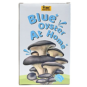 Root Mushroom Farm— Blue Oyster Mushroom Grow kit/ 3.2 pounds Log/Multiple flushes/Everything Included