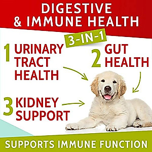 PAWFECTCHEW Green Lawn Chews for Dogs - Green Grass Chews - Urine Neutralizer Grass Burn Spots - Lawn Burn from Dog Urine - Probiotics & Enzymes - Made in USA - Bacon Flavor - 240 Lawn Saver Chews