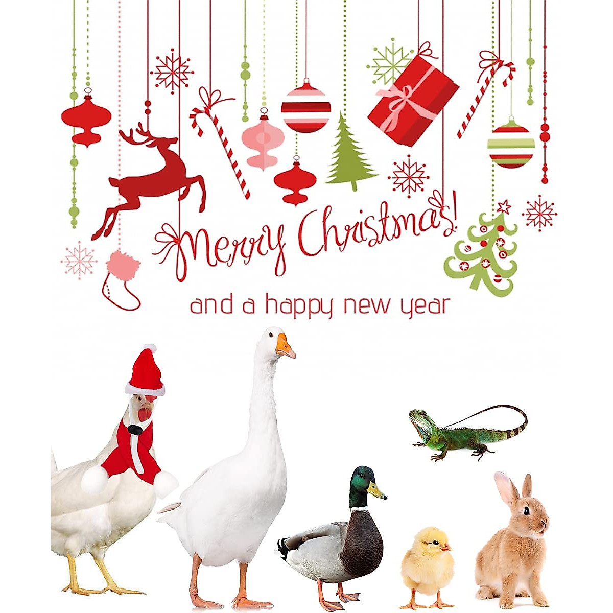 Christmas Pet Chicken Hat Scarf Set for Hens, 12 Pieces Santa Hat Cloak with Adjustable Chin Strap Cute Decorative for Duck Hens Rabbit Kitten