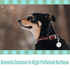 Leash King Dog Tag/Pet Tag w/Pet Tag Quick Clip Combos- 2 Pairs (4 pcs) of Standard Quick Clips - Entirely sugrical Stainless Steel