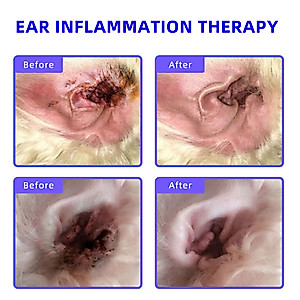 Chongwuge Pets Ear Cleaner for Dogs & Cats, Alleviate Infections, Deodorizing and Itchy, Clean Wax, Mild and Non-irritating, Care for Pet, with 20 Cotton Swabs, 4 fl oz