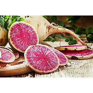 Watermelon Radish Seeds for Planting, 120+ Heirloom Seeds Per Packet, (Isla's Garden Seeds), Non GMO Seeds, Botanical Name: Raphanus sativus acanthiformis, Great Home Garden Gift