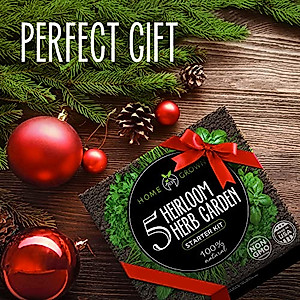 Indoor Herb Garden Starter Kit - 5 Herb Plant Grow Kit w/ Pots & Soil - DIY Heirloom Herb Seeds Home Gardening Kit - Kitchen Window Garden Growing Kit - Unique Gardening Gifts for Women & Men