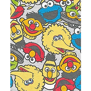 Sesame Street Bert and Ernie Oscar the Grouch Big Bird Infant Baby Boys Romper and Hat Gray 12 Months
