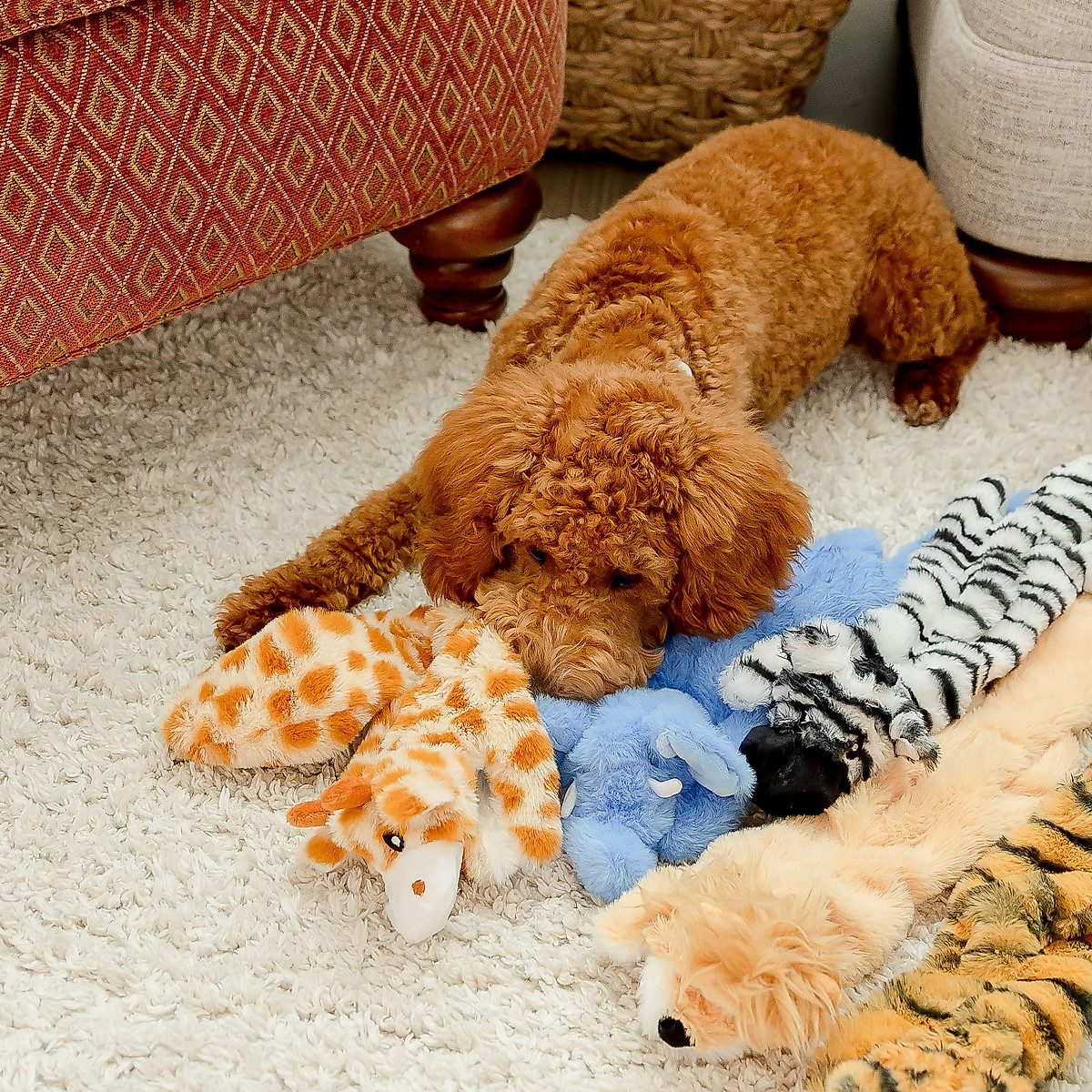 Squeaky No Stuffing Dog Toy Set – New & Improved Edition Plush Crinkle Dog Toys for Small, Medium & Large Breeds – Soft Tough Stuffless Puppy Chew Squeak Animal Supports Pet Health & Well Being 5 Pack