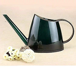 Indoor Watering Can for House Bonsai Plants Garden Flower Long Spout 40oz 1.4L 1/3 Gallon Small Modern Translucent (Red)