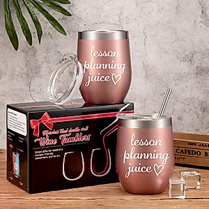2 Pack Funny Teacher Gift Sippy Cup Lesson Planning Juice Personalized Christmas Thanksgiving Teacher Appreciation Gift for Professor Teaching Assistant, 12 oz Wine Tumbler