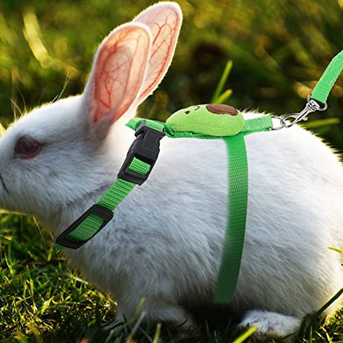 Ipetboom Bunny Harness and Leash: 1 Set Avocado Adjustable Small Pet Fruit Summer Outfit Costume for Rabbit Kitten Small Animal Hedgehog Ferret Piggies Squirrel Safety Walking Jogging