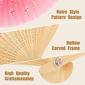 AOIPAMKEL Folding Fan Hand Held Fan, 5 pcs Japanese Fan Foldable Hand Fan, Silk Paper Fans with Tassel, Hollowed Fringe Foldable Fan, Handheld Fan foldable for Wedding, Party, Gifts, Wall Decoration