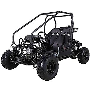 TAO Go kart 110cc with reverse