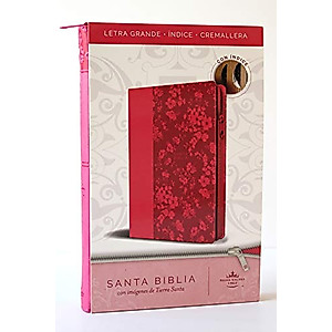 Biblia Reina Valera 1960 letra grande. Símil piel fucsia, cremallera, índice, ma nual / Spanish Bible RVR 1960. Handy Size, Large Print, Leathersoft