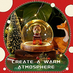 Funtery 4 Pcs 3.54 x 5 in Christmas DIY Clear Glass Dome Keepsake Globe Display Case with Light Wood Base Decorative Snow Globe Kit Plant Terrarium Decor for Women Craft Tabletop Gift (Classic Style)