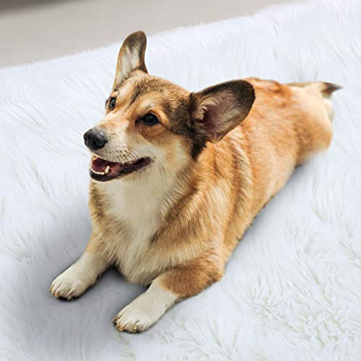 Andecor Soft Fluffy Faux Fur Bedroom Rugs 3 x 5 Feet Indoor Wool Sheepskin Area Rug for Girls Baby Living Room Chair Sofa Home Decor Floor Carpet, White