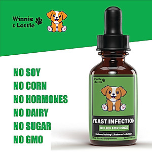 Natural Yeast Infection Treatment for Dogs | Helps to Support Itching Relief, Allergy Relief, Scratching Relief & More | Dog Ear Infection Treatment | Itch Relief for Dogs | Dog Itch Relief | 1 oz