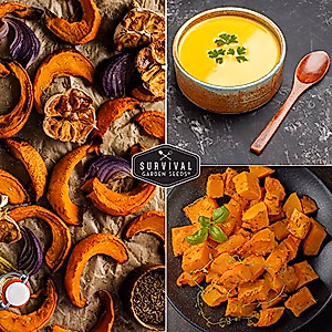 Survival Garden Seeds - Fairy Tale Pumpkin Seed for Planting - Packet with Instructions to Plant and Grow Pumpkins in Your Home Vegetable Garden - Non-GMO Heirloom Variety