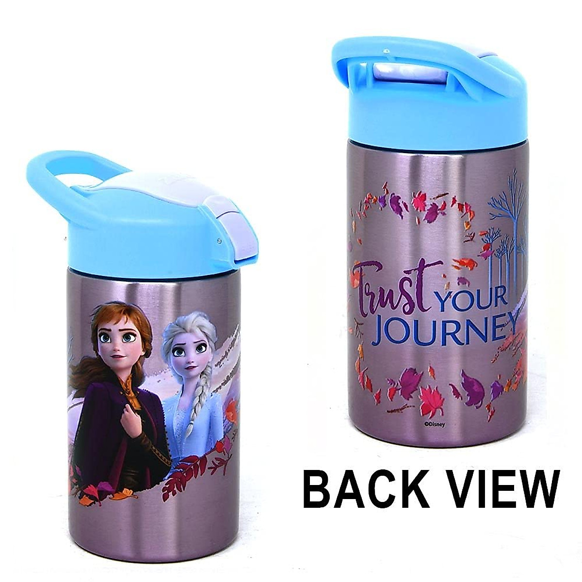 Disney Frozen 15.5 Ounce Water Bottle ~ 3 Pc Bundle with Frozen Stainless Steel Refillable Sports Bottle and More with Frozen Stickers and Door Hanger