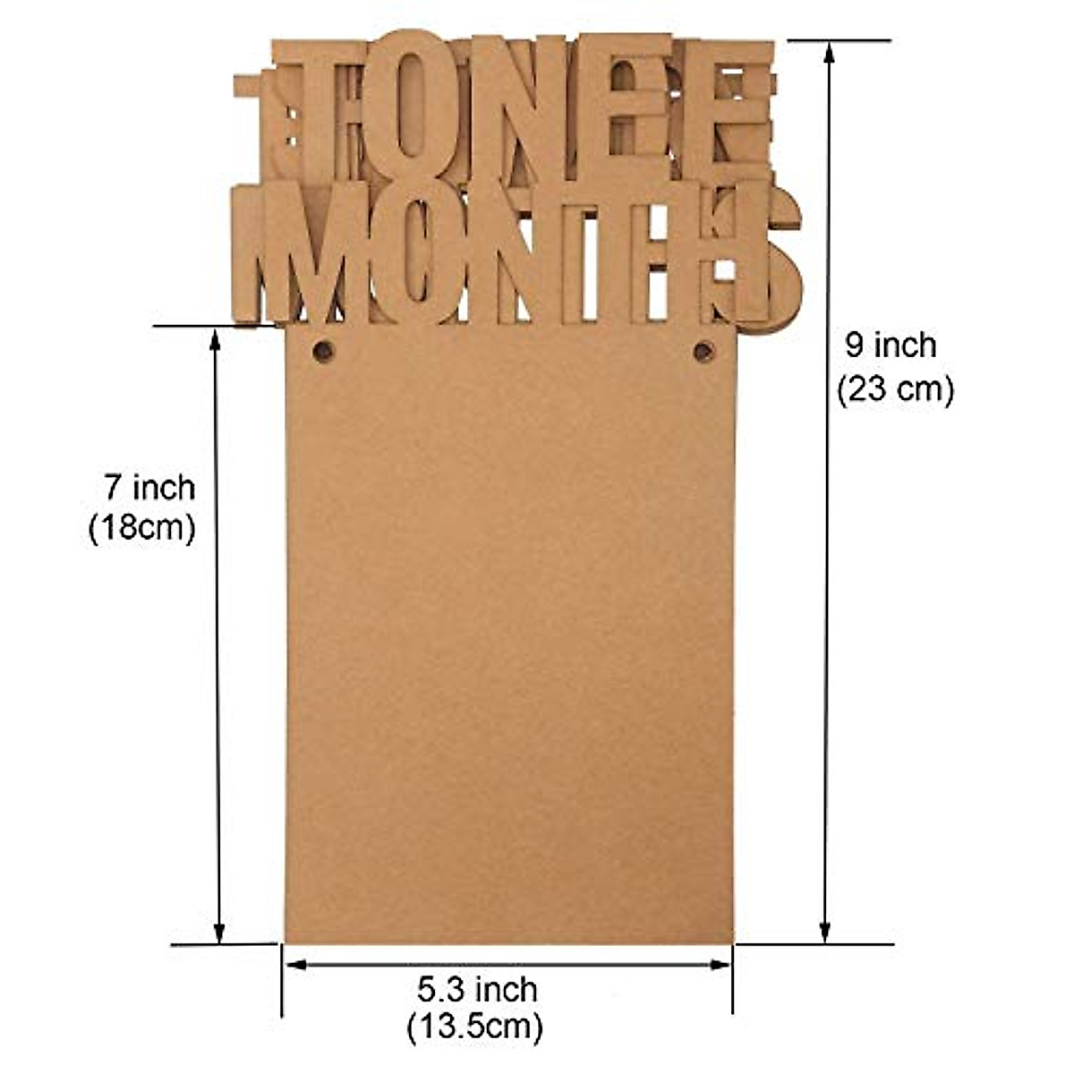 XUKEKOY 1st Birthday Baby Photo Banner Growth Record 1-12 Month Photo Prop First Birthday Party Bunting Decor