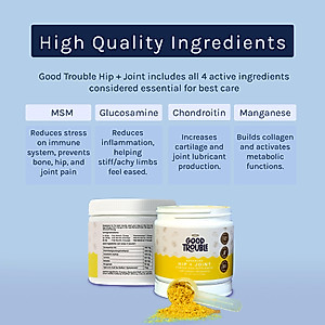 Dog Advanced Hip and Joint Powder by Good Trouble Pets - Joint Supplement for Dogs with Vitamins, Supports Healthy Joints and Prevents Arthritis in Dogs, Puppy Vitamins and Supplements (4.8 oz, Beef)