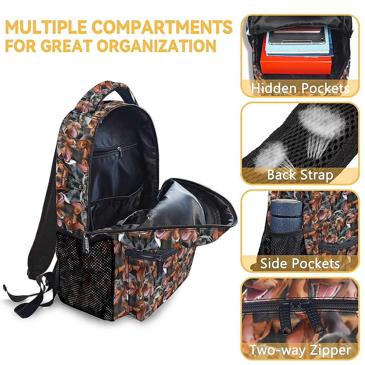 AIOMXZZ Doberman Backpack with Lunch Box and Pencil Case, 16 Inch Cute Dog Theme Bookbag Durable, Lightweight, Large Capacity, Funny Animal Backpack for School Girls Kids Women