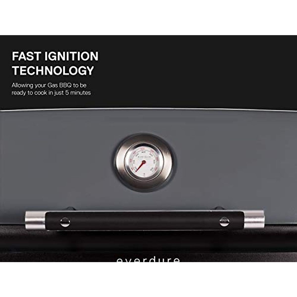 Everdure FORCE 2 Burner Gas Grill, Liquid Propane Portable BBQ Grill with Die-Cast Aluminum Body and Fast-Ignition Technology, 388 Square Inches of Grilling Surface, Adjustable Height, Graphite