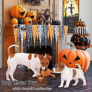Vehomy Halloween Dog Squeaky Toy Dog Halloween Pumpkin Teething Toy Pet Dog Chew Toy Puppy Tug of War Toys Pet Interactive Dog Toy for Small Medium Dogs